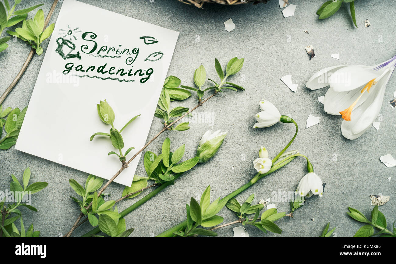 Spring gardening lettering with various springtime plant: Lily of ...