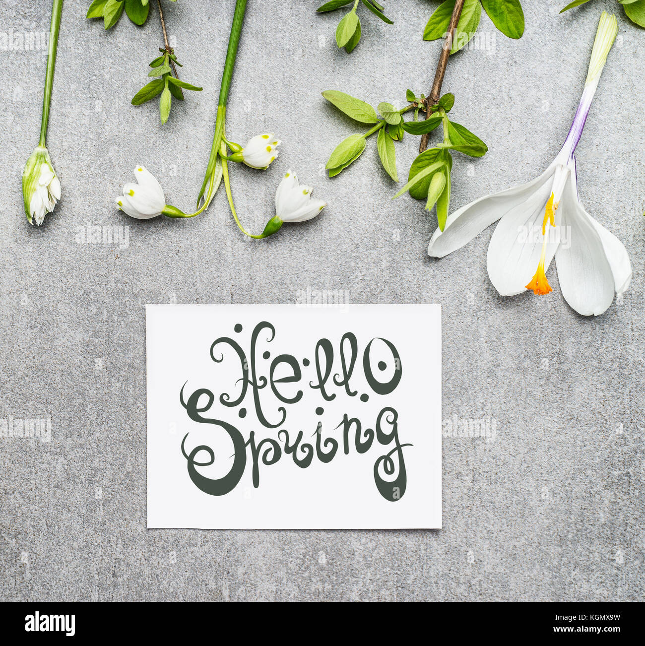 Hello spring lettering with various springtime plant: Lily of Valley ...