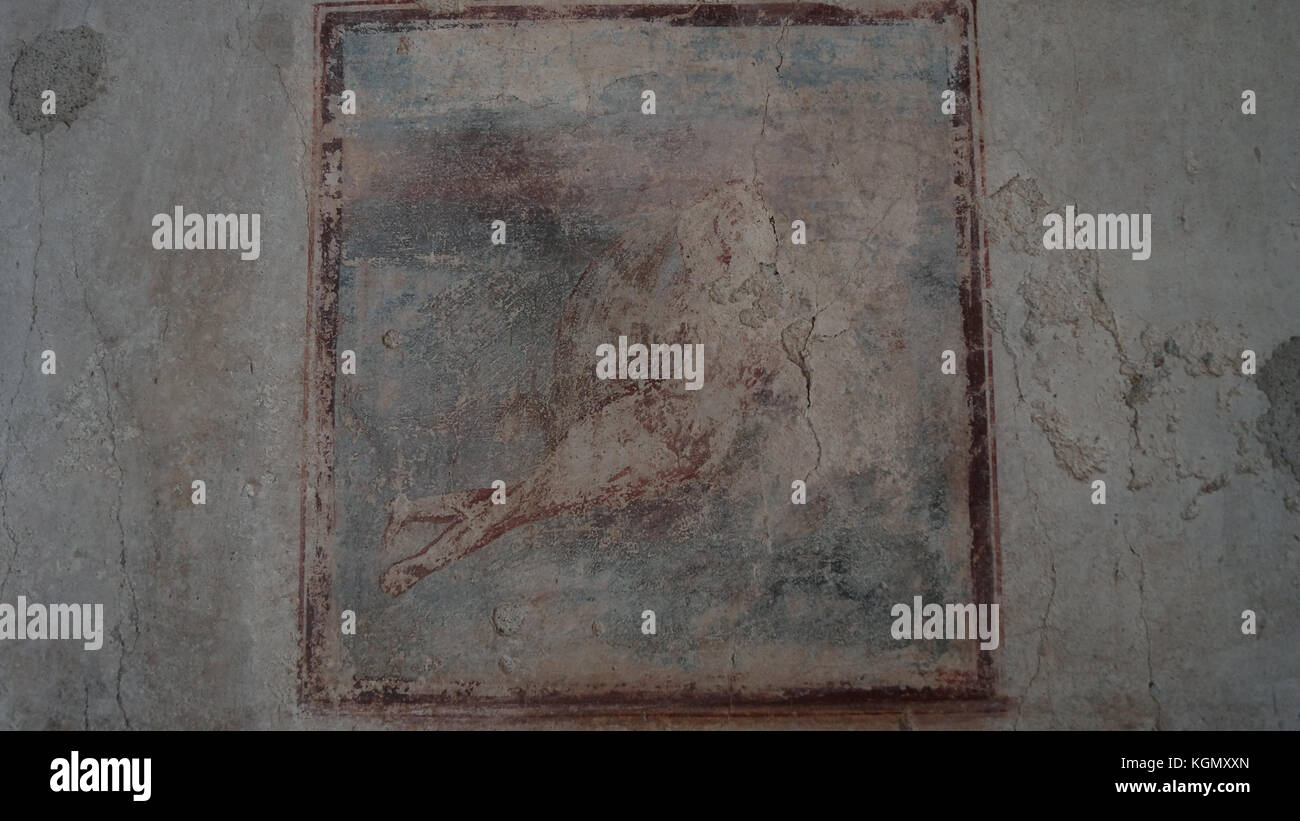 Ancient Roman wall paintings at Pompeii, Italy Stock Photo - Alamy