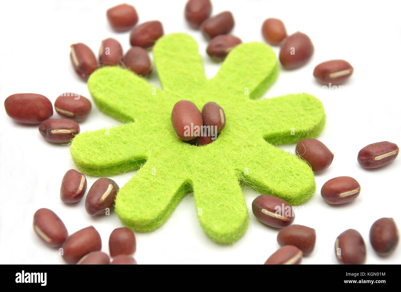 Sprouting azuki bean Stock Photo - Alamy