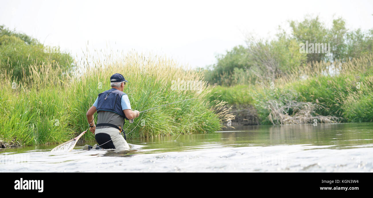 Fly fisherman fishing in river of Montana state Stock Photo - Alamy