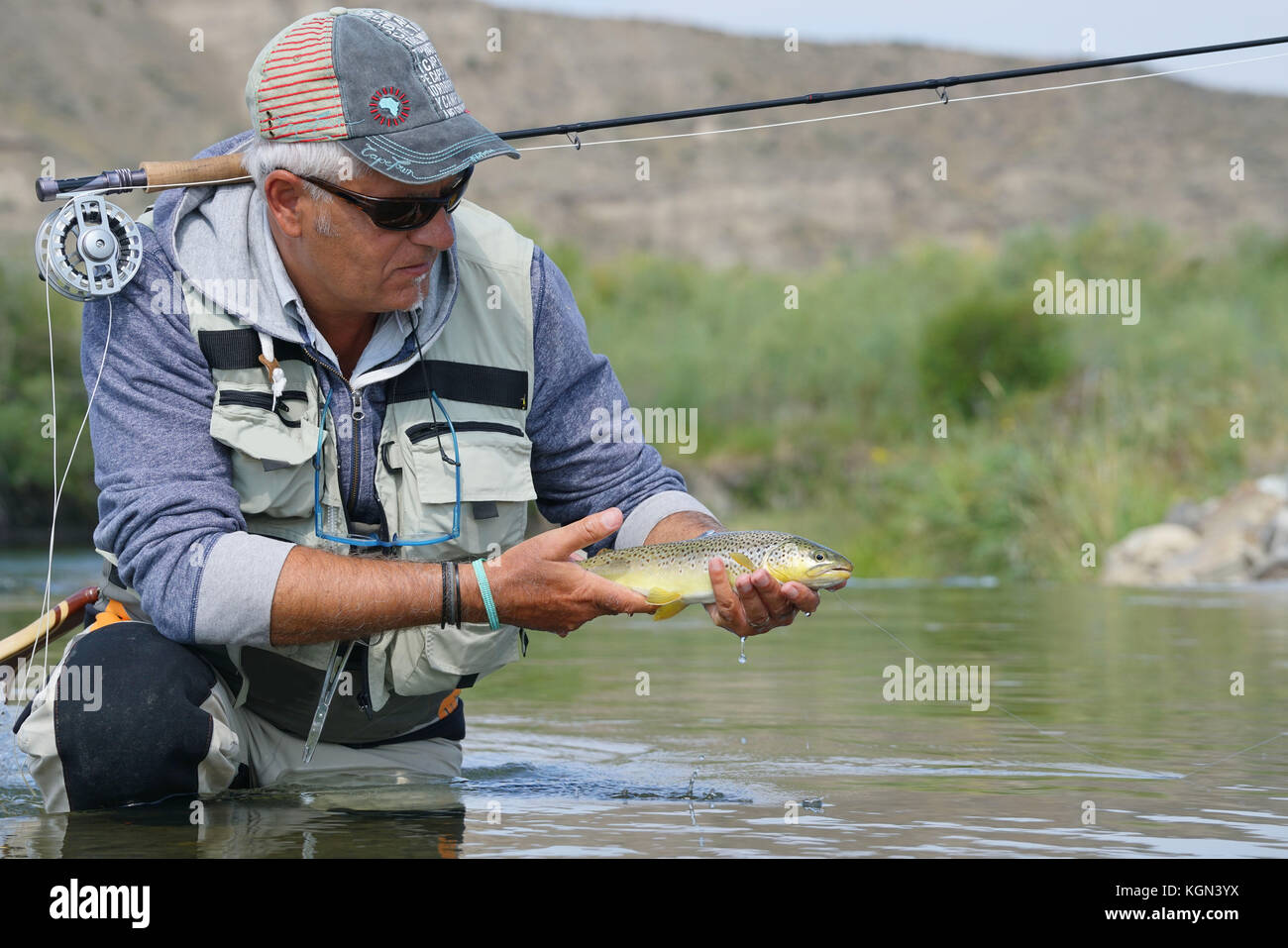 Fly fisherman catching brown trout in river Stock Photo - Alamy