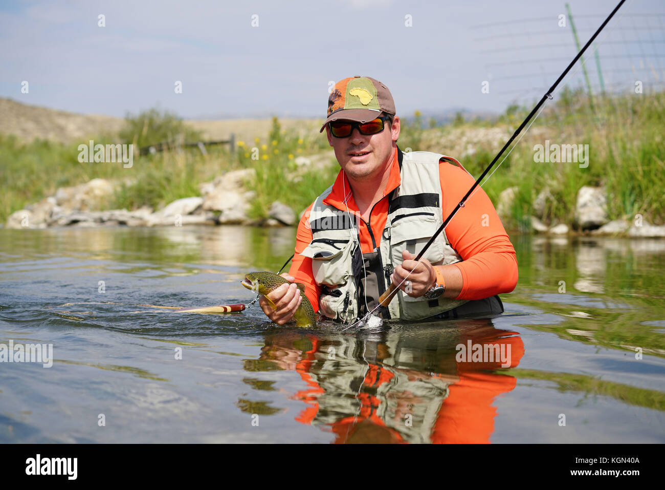 Fly fisherman catching brown trout in river Stock Photo - Alamy