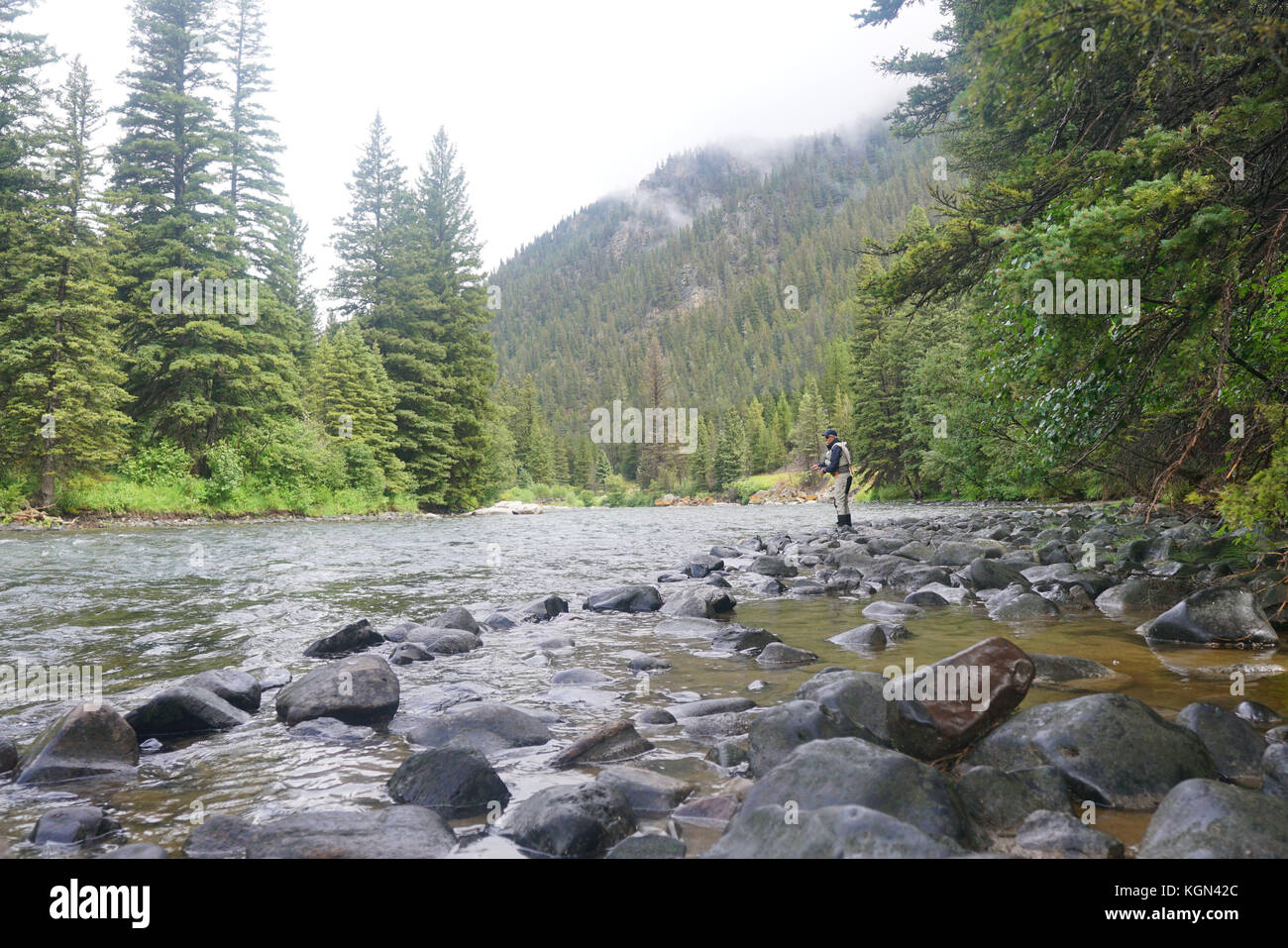 Fisherman fishing in Gallatin river of Montana Stock Photo - Alamy