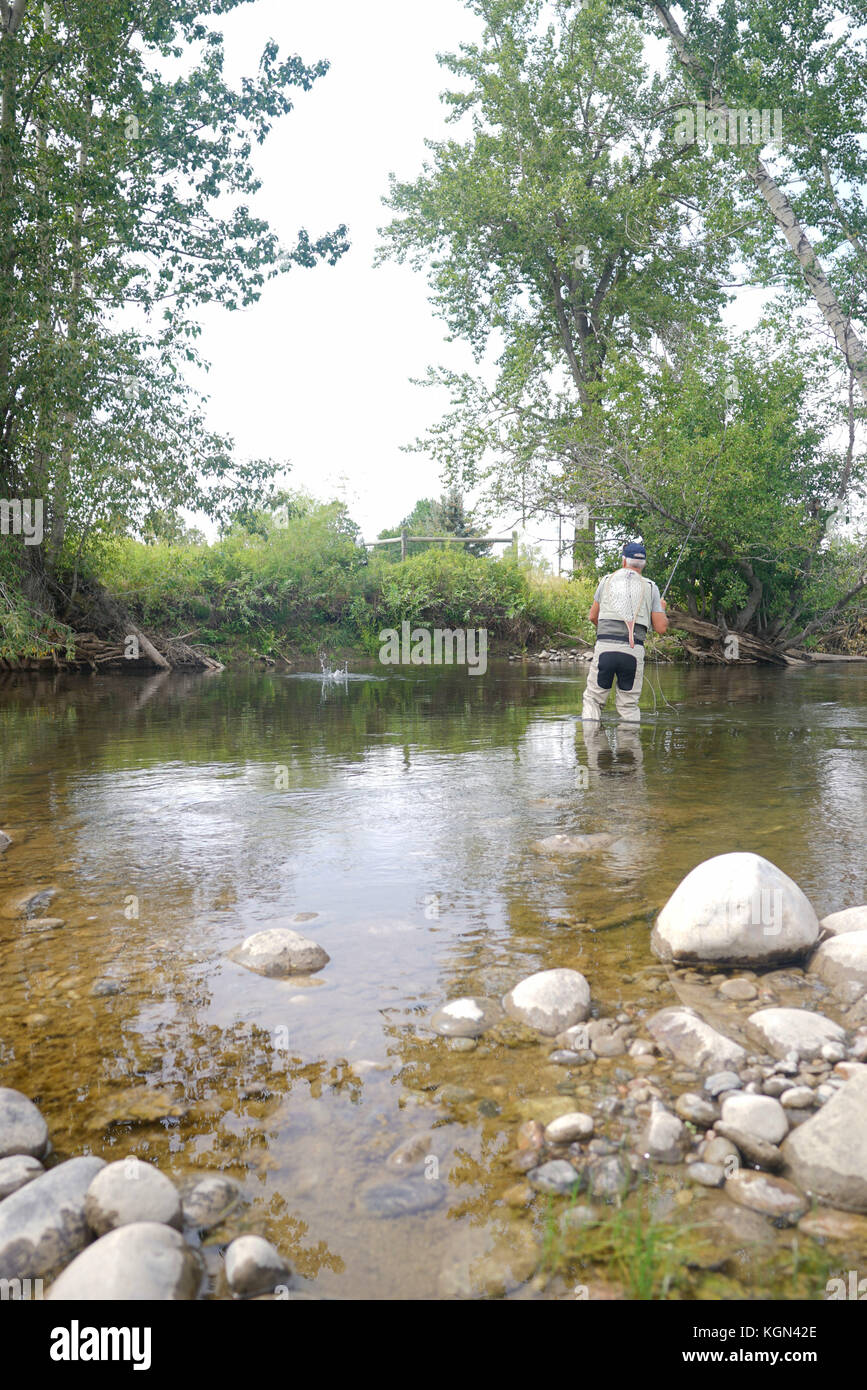 Fisherman fishing in Gallatin river of Montana Stock Photo - Alamy