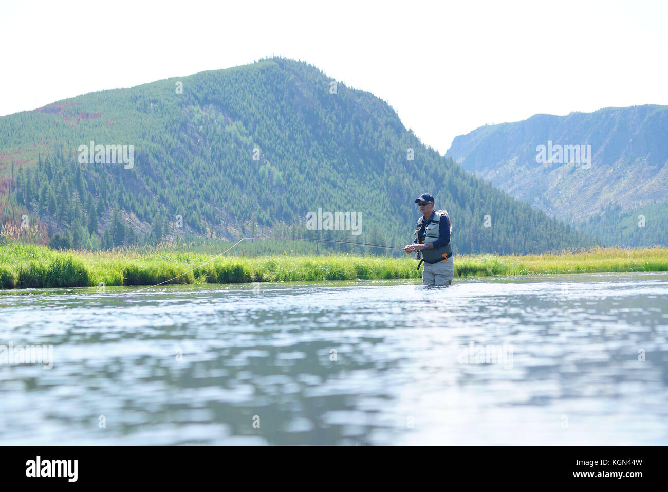 Fly-fisherman fishing in Madison river, Yellowstone Park Stock Photo ...