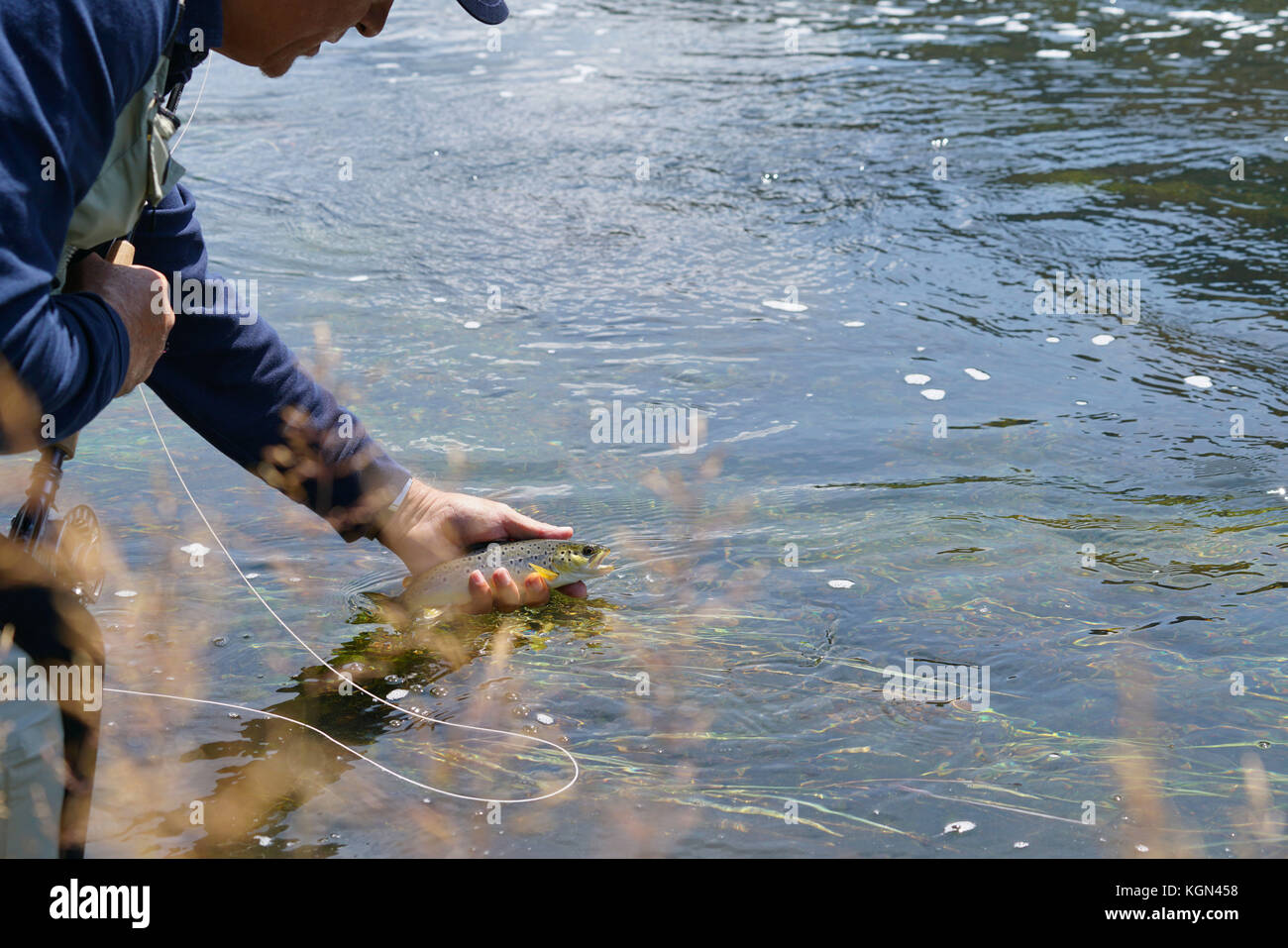 Fisherman releasing fish hi-res stock photography and images - Alamy