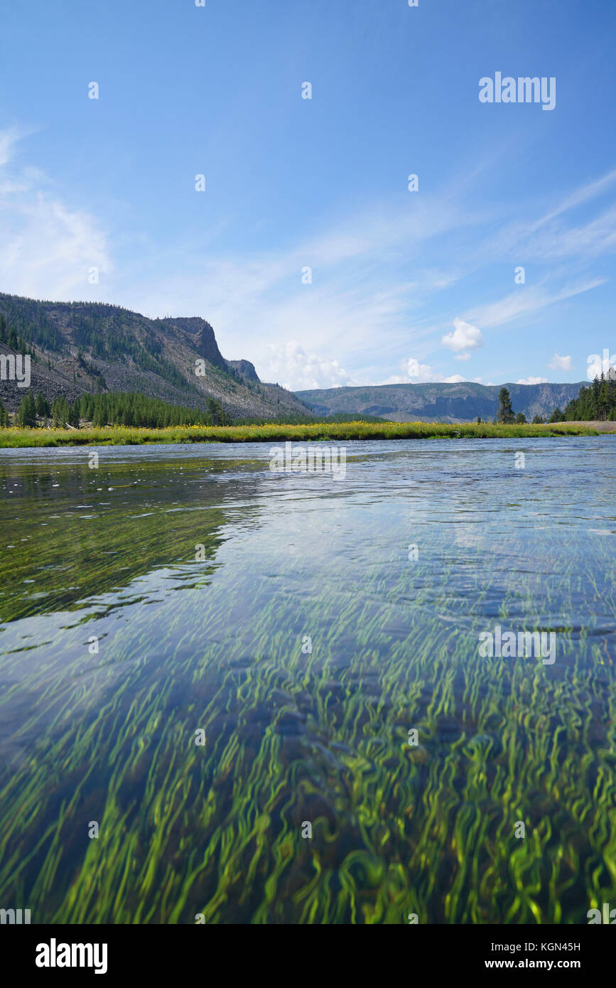 Madison River High Resolution Stock Photography and Images - Alamy