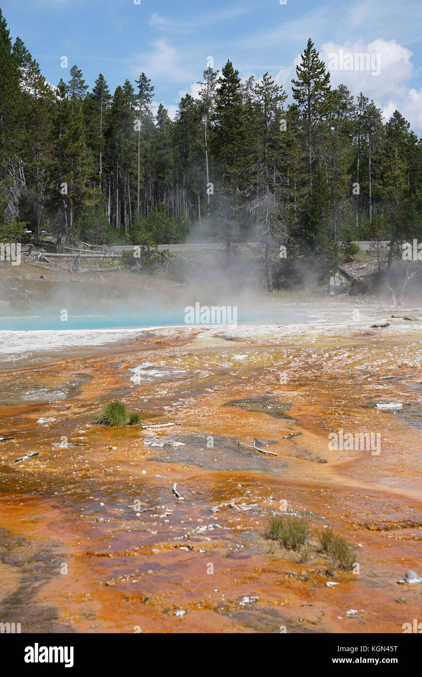 View of geysers from Yellowstone National Park, Montana Stock Photo - Alamy