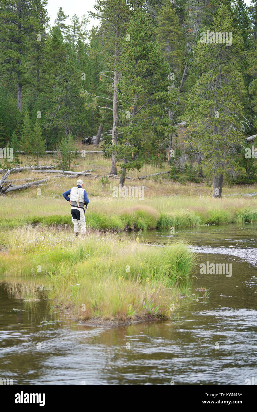 Fly-fisherman fishing in the Gallatin River, Montana Stock Photo - Alamy