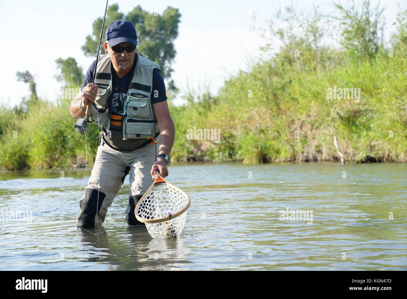 Fly fisherman catching trout in river Stock Photo - Alamy