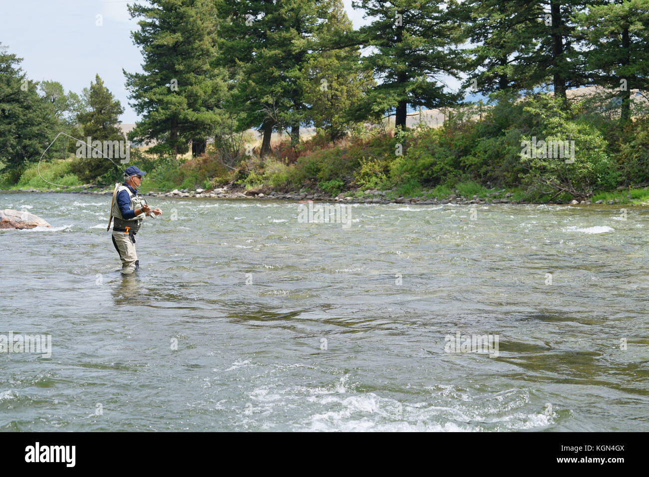 Gallatin river montana fishing hi-res stock photography and images - Alamy