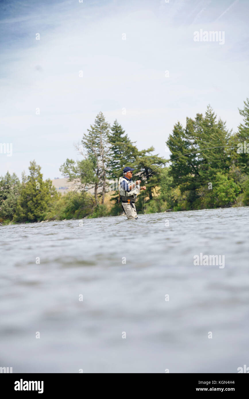Gallatin river montana fishing hi-res stock photography and images - Alamy