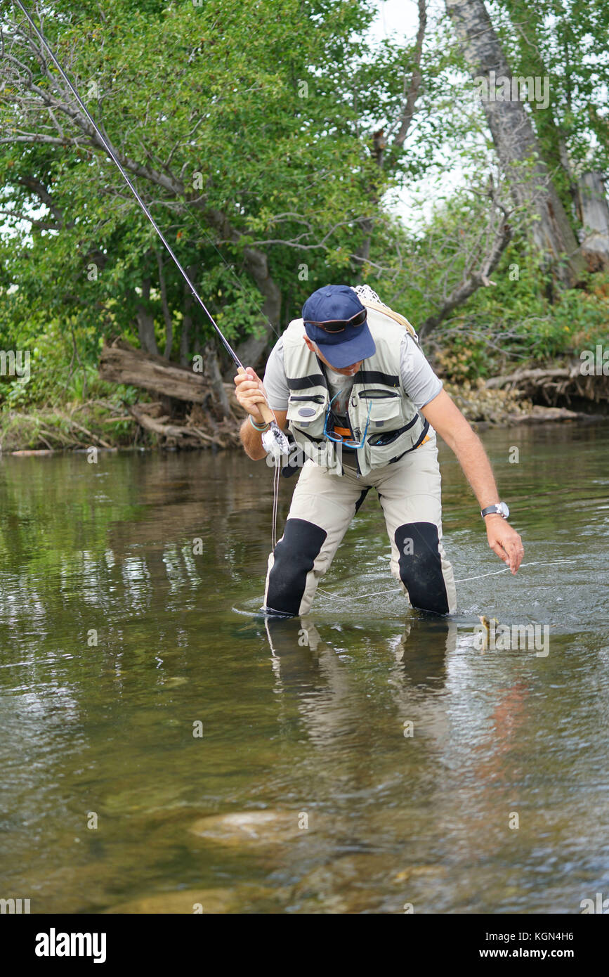 Fly fisherman catching brown trout in river Stock Photo - Alamy