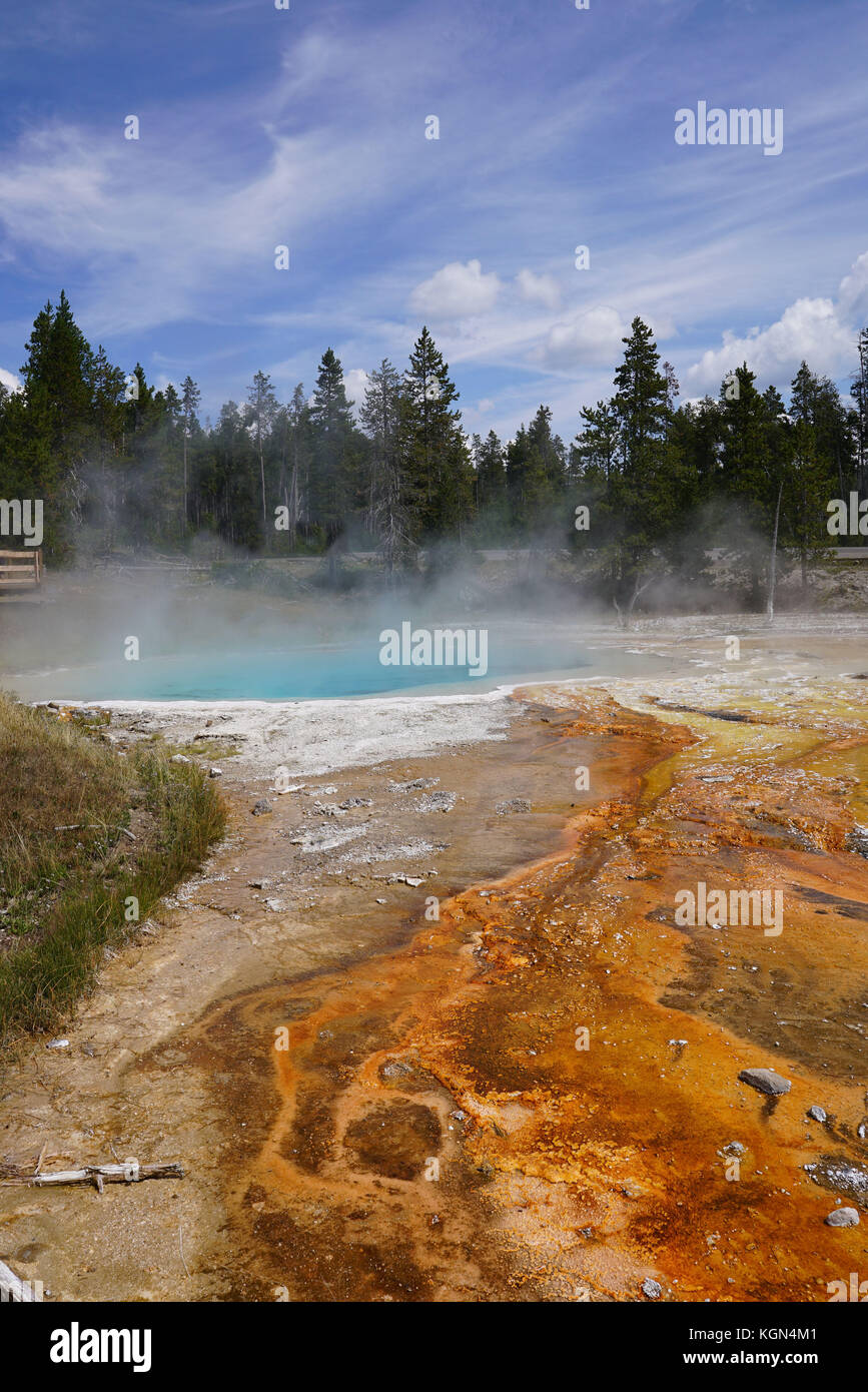 View of geysers from Yellowstone National Park, Montana Stock Photo - Alamy