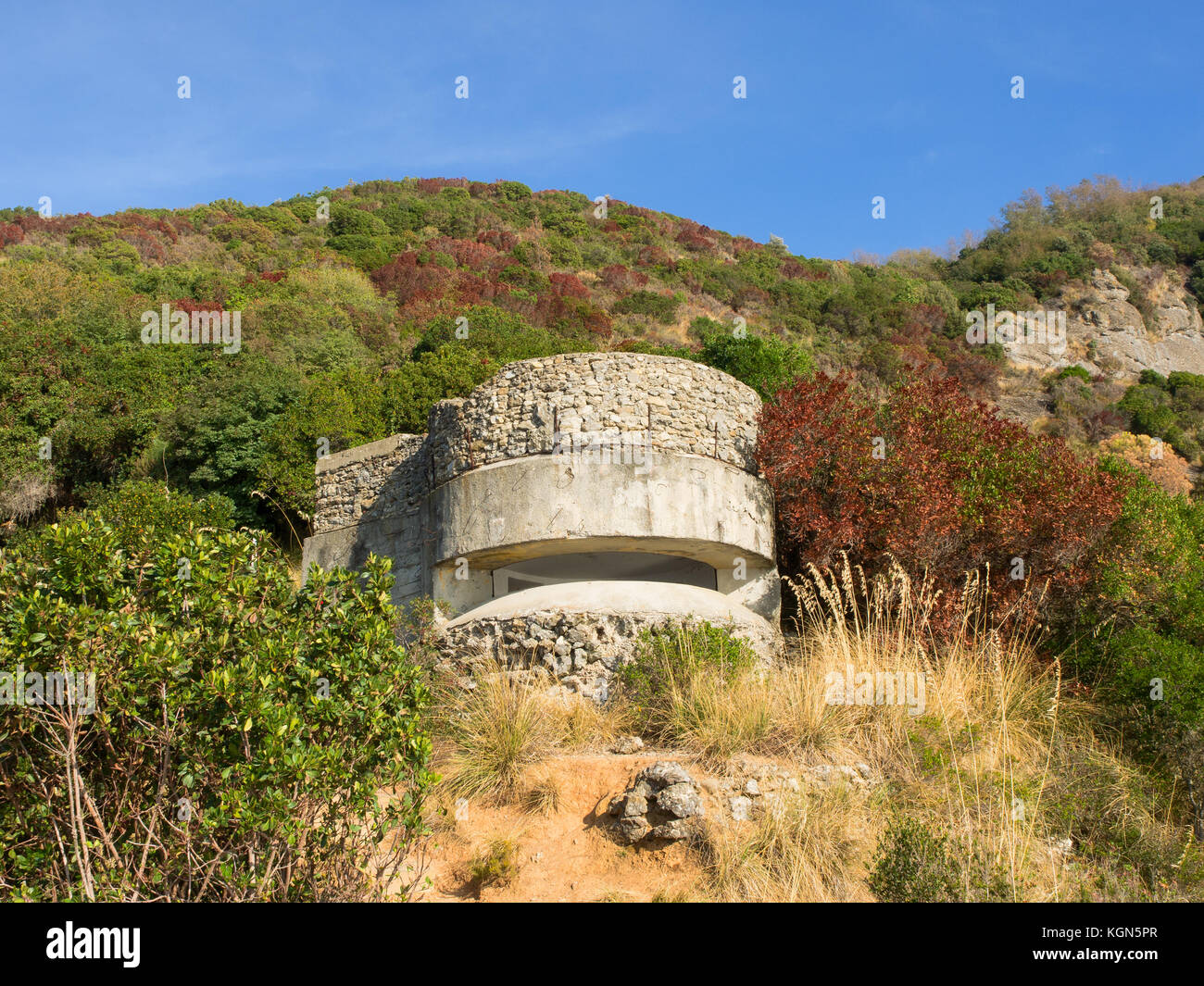 Hidden Bunker Stock Photos & Hidden Bunker Stock Images - Alamy
