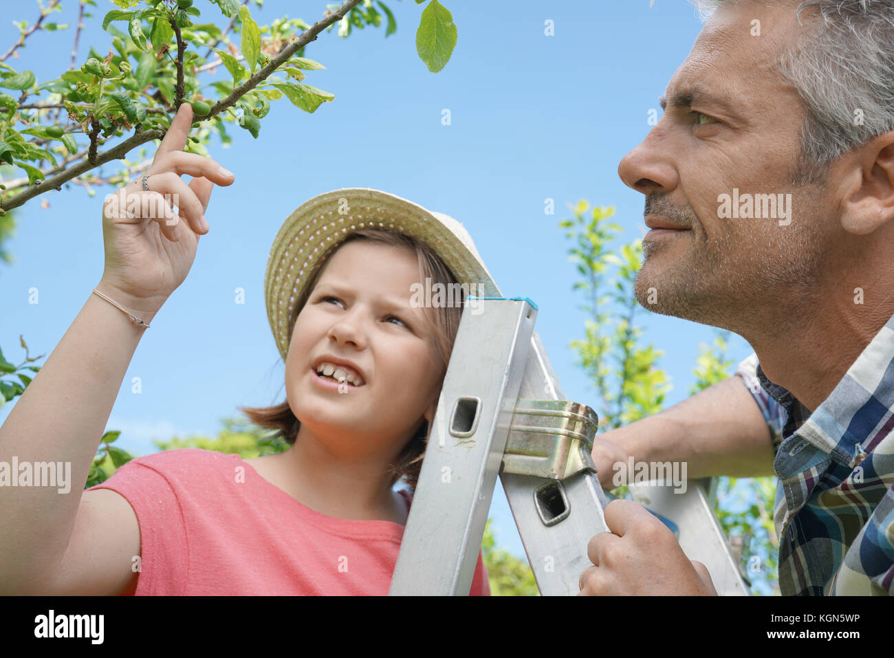 Man with young girl looking at fruit trees buds Stock Photo - Alamy