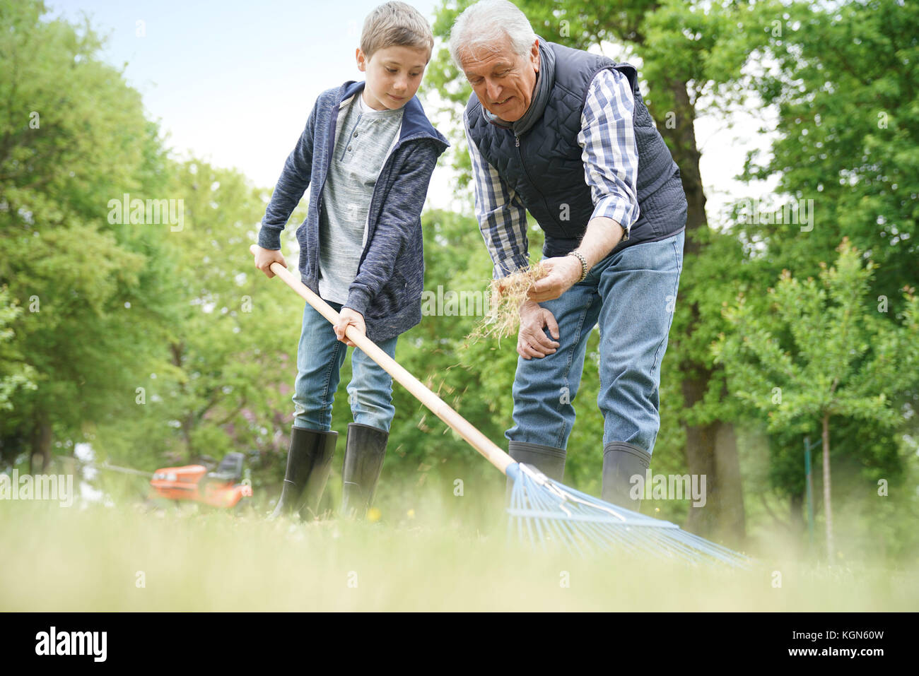 Grandfather with grandkid cleaning garden with rake Stock Photo - Alamy
