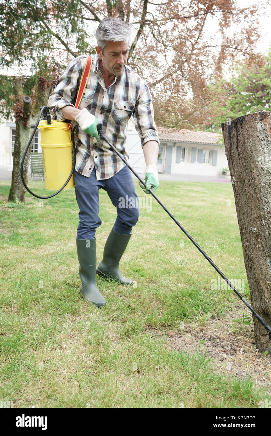 Man in garden spraying insecticide on trees Stock Photo - Alamy