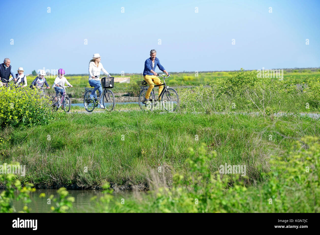 Family riding bikes together on country road Stock Photo - Alamy