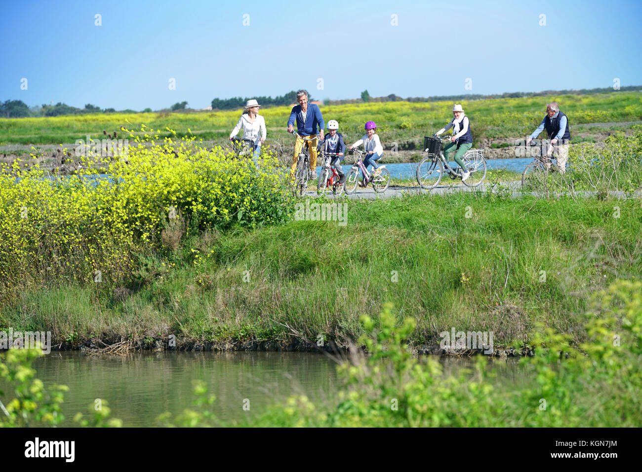 Family riding bikes together on country road Stock Photo - Alamy