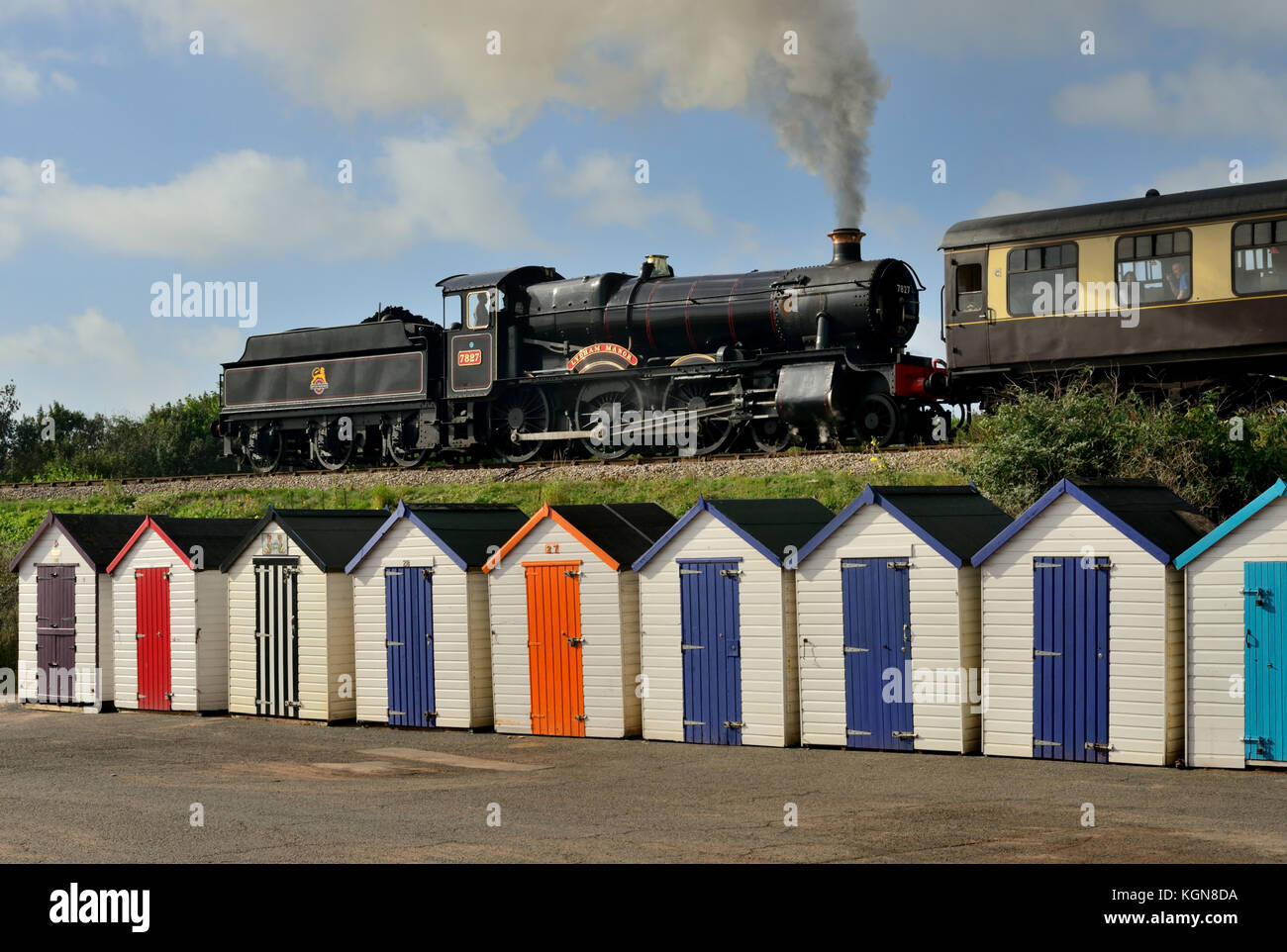 Steam train passing beach huts at Goodrington Sands, hauled by GWR loco ...