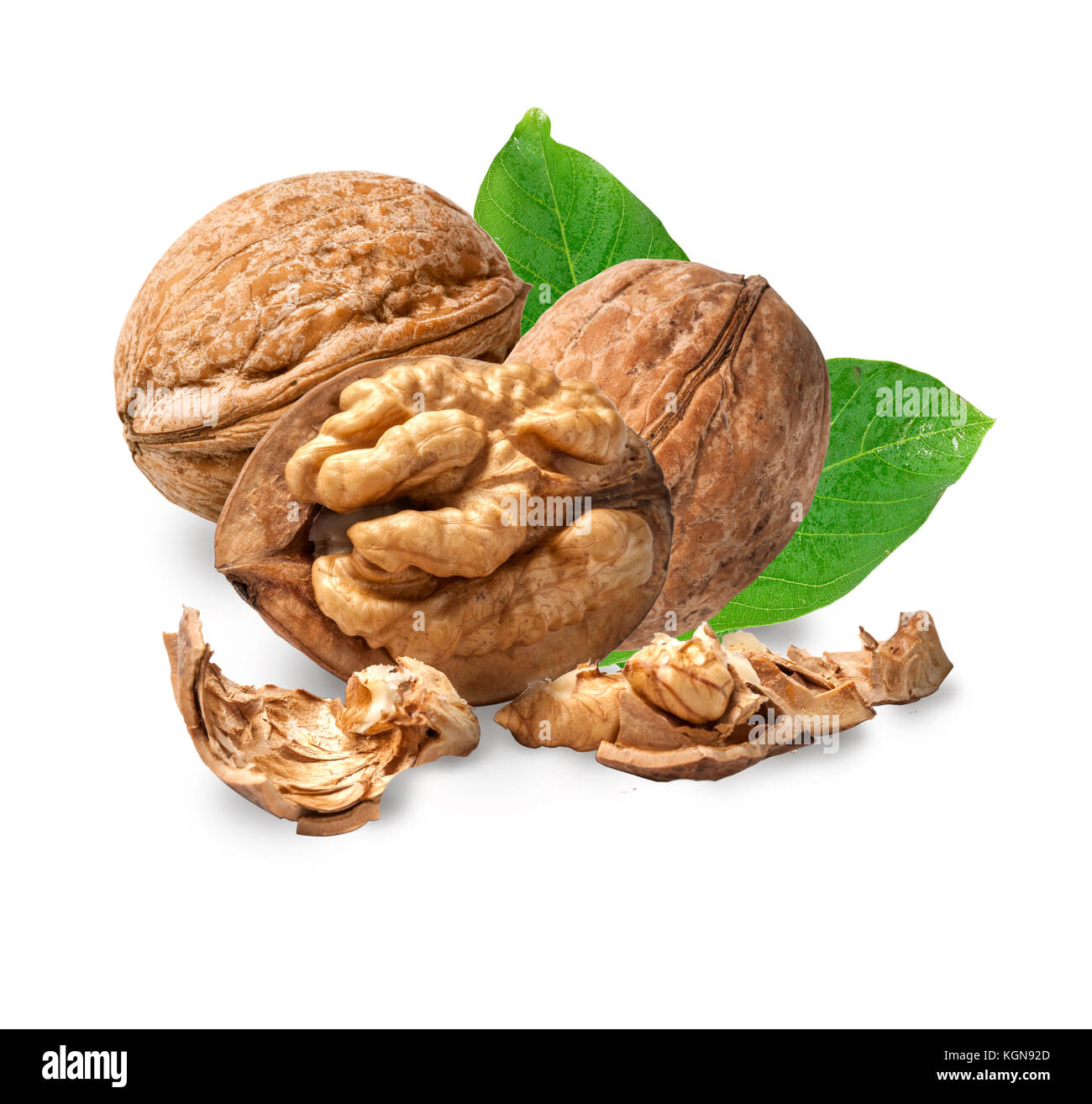 Dried walnuts with leaves isolated on white Stock Photo - Alamy