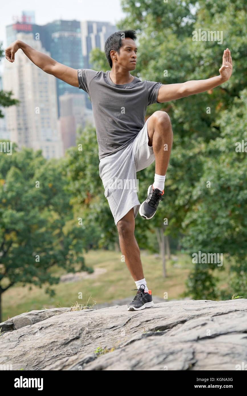 Man doing martial art exercises at Central Park Stock Photo - Alamy