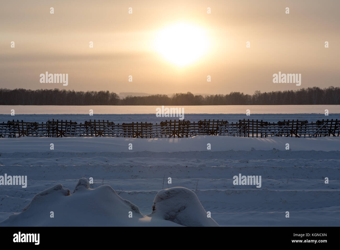 Sunset winter landscape with snow-covered road in yellow and dark ...