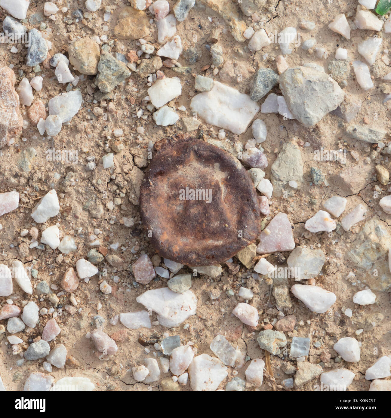 Bottle cap in nature - Pollution in Greece Stock Photo - Alamy