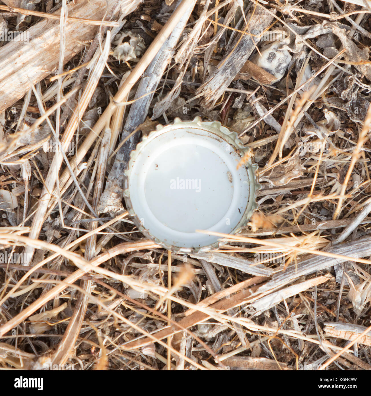 Bottle cap in nature - Pollution in Greece Stock Photo - Alamy