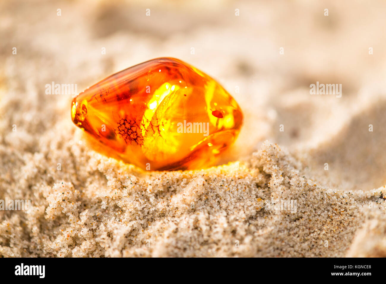 Amber on a beach of the Baltic Sea Stock Photo - Alamy