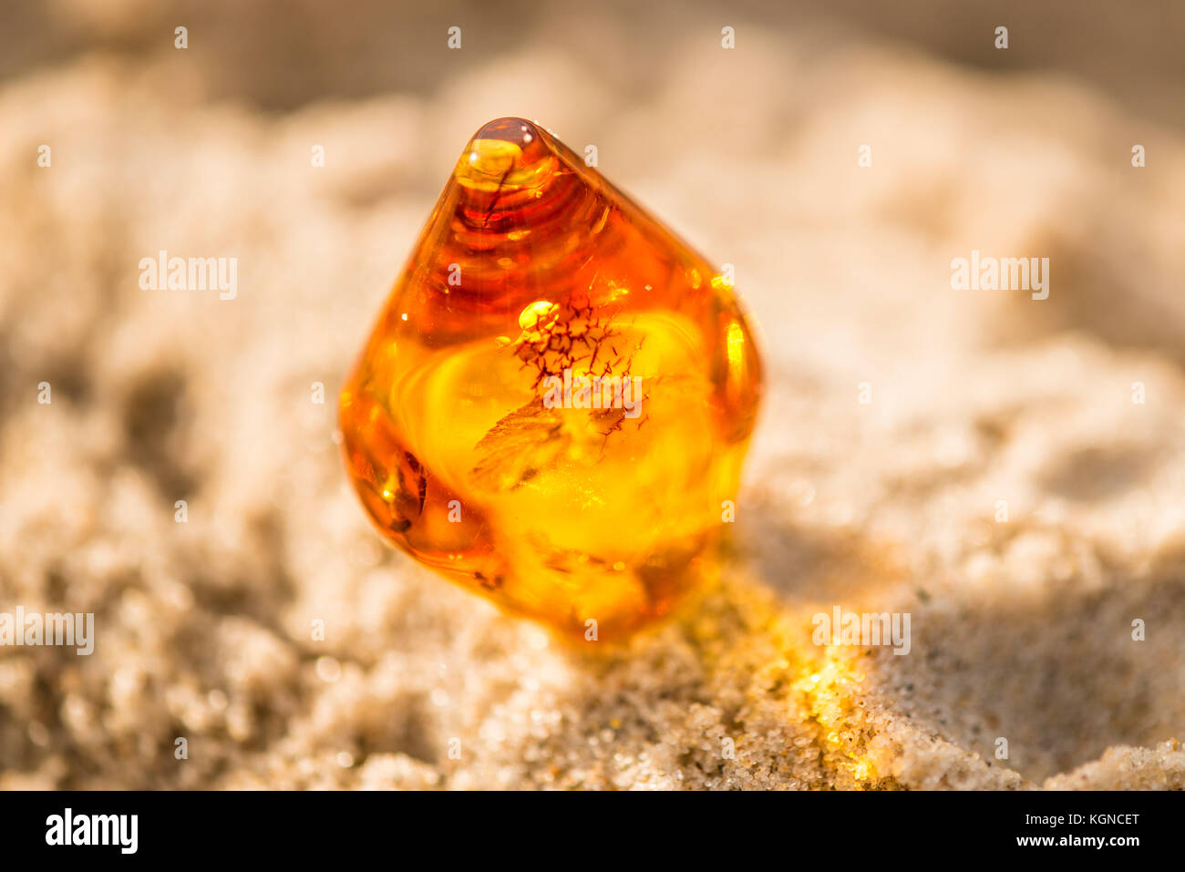 Amber on a beach of the Baltic Sea Stock Photo - Alamy