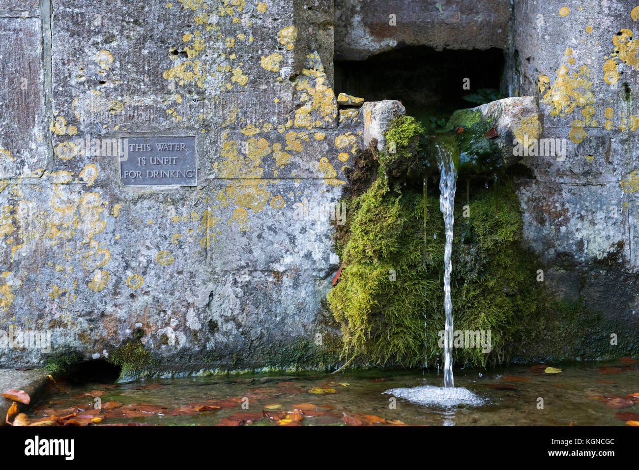 Holy well spring water uk hi-res stock photography and images - Alamy