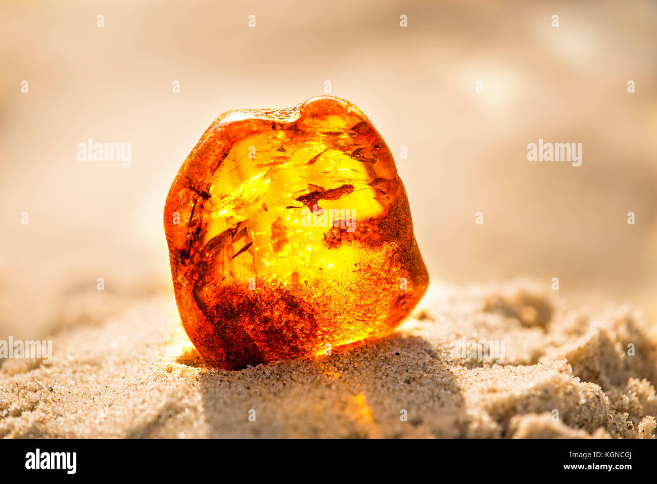 Amber on a beach of the Baltic Sea Stock Photo - Alamy