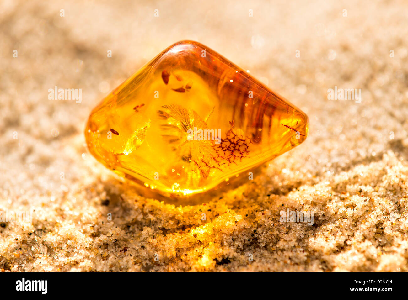 Amber on a beach of the Baltic Sea Stock Photo - Alamy