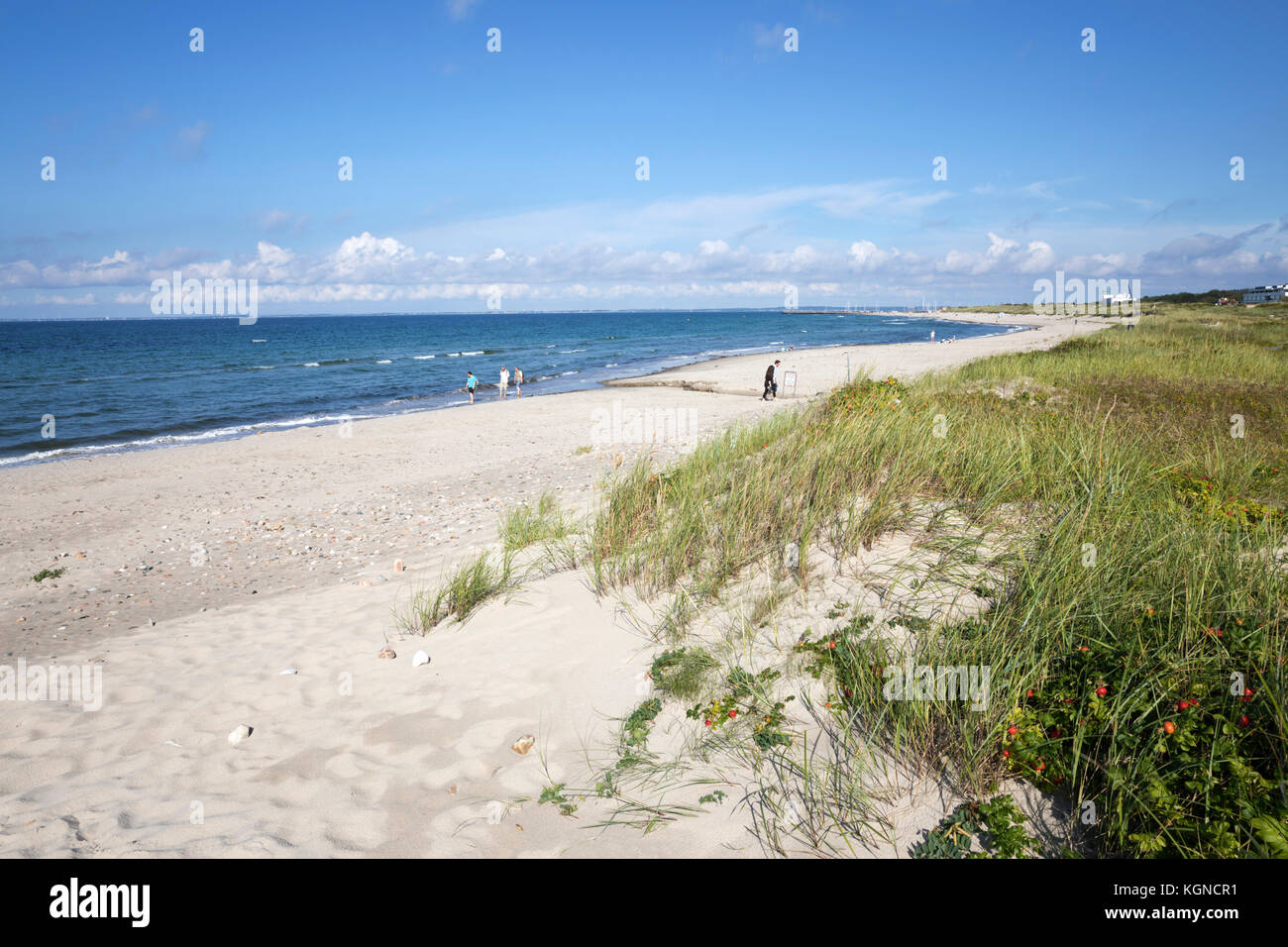 Hornbaek beach with white sand and sand dunes, Hornbaek, Kattegat Coast ...