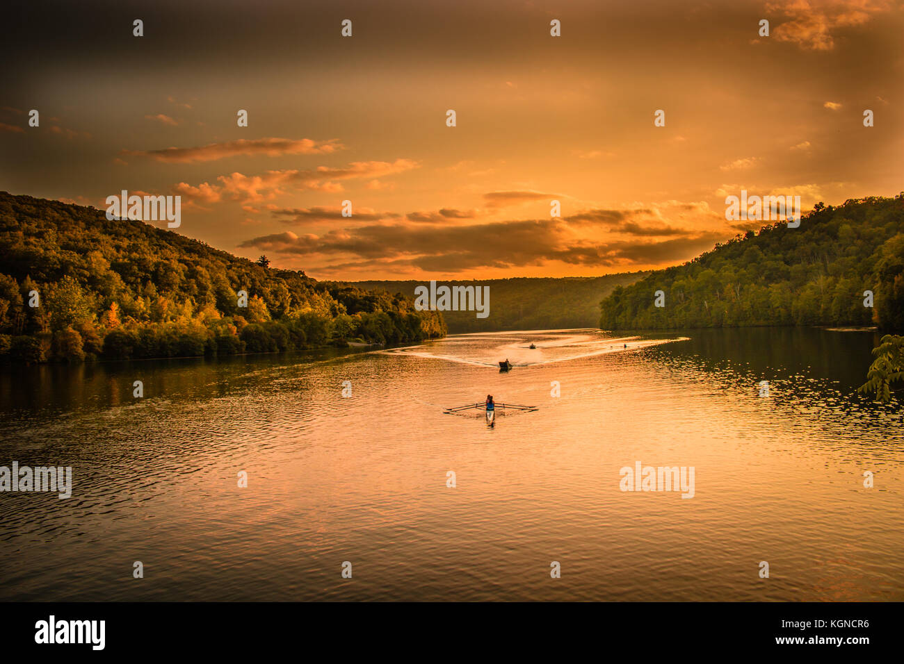 Rowers rowing on the lake at sunset Stock Photo - Alamy