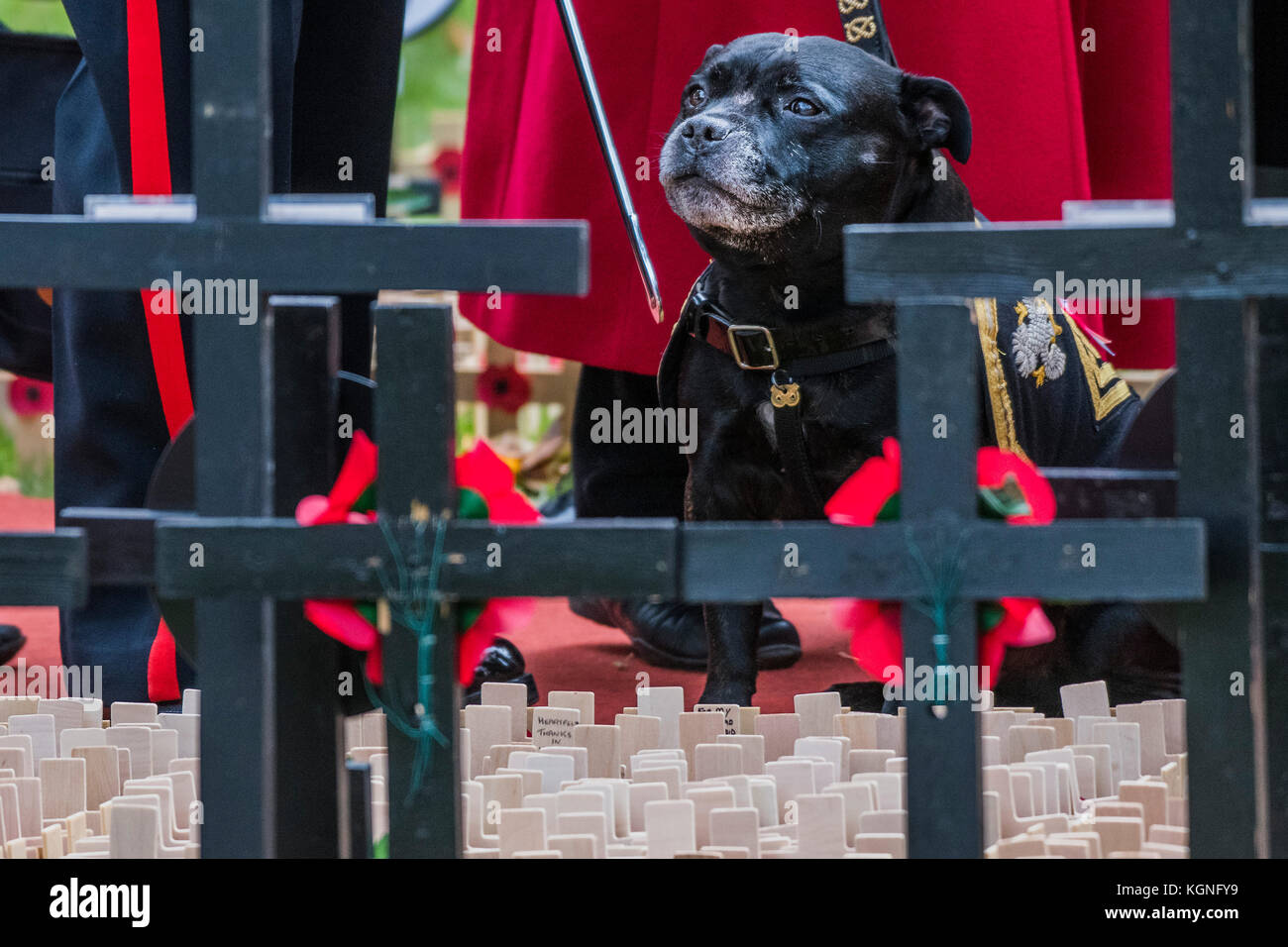 The mercian regiment hi-res stock photography and images - Alamy
