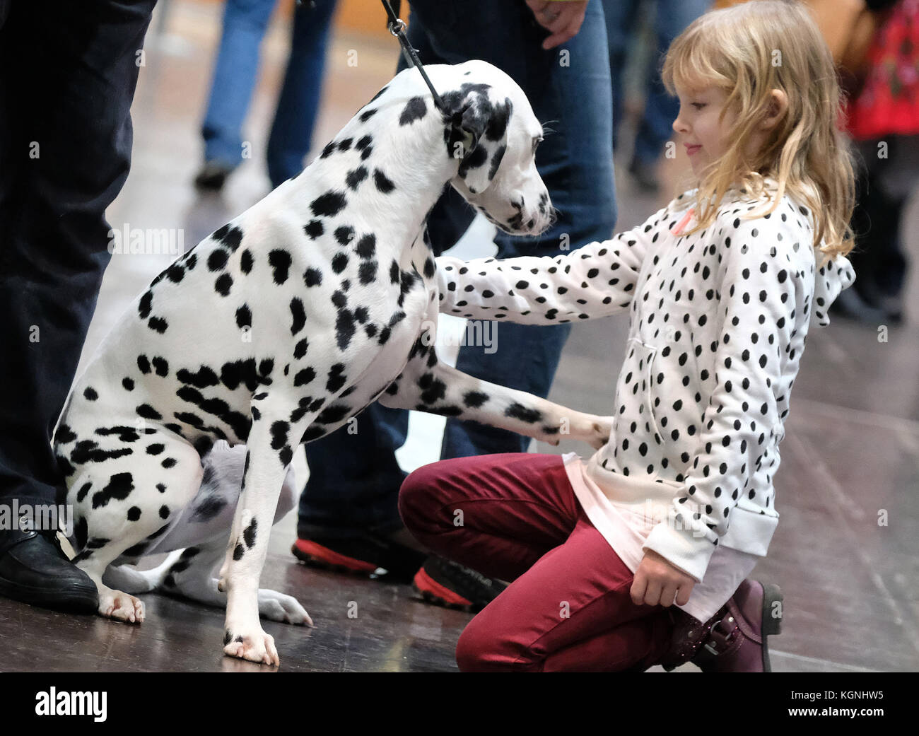 Leipzig, Germany. 9th Nov, 2017. A girl plays with a Dalmatian at the ...