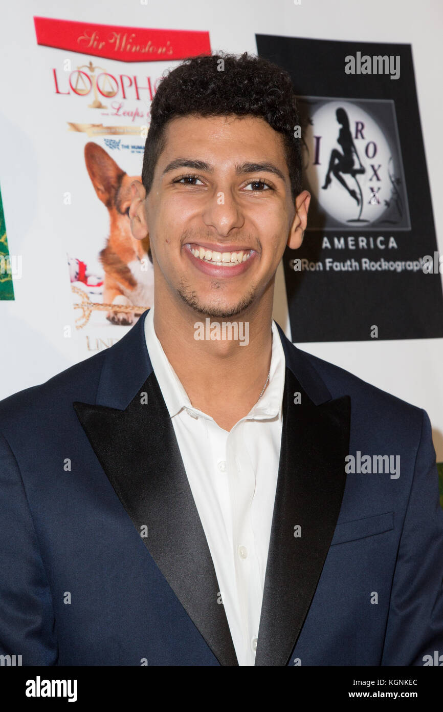Los Angeles, California, USA. 8th November, 2017. Roger Neal attending ...