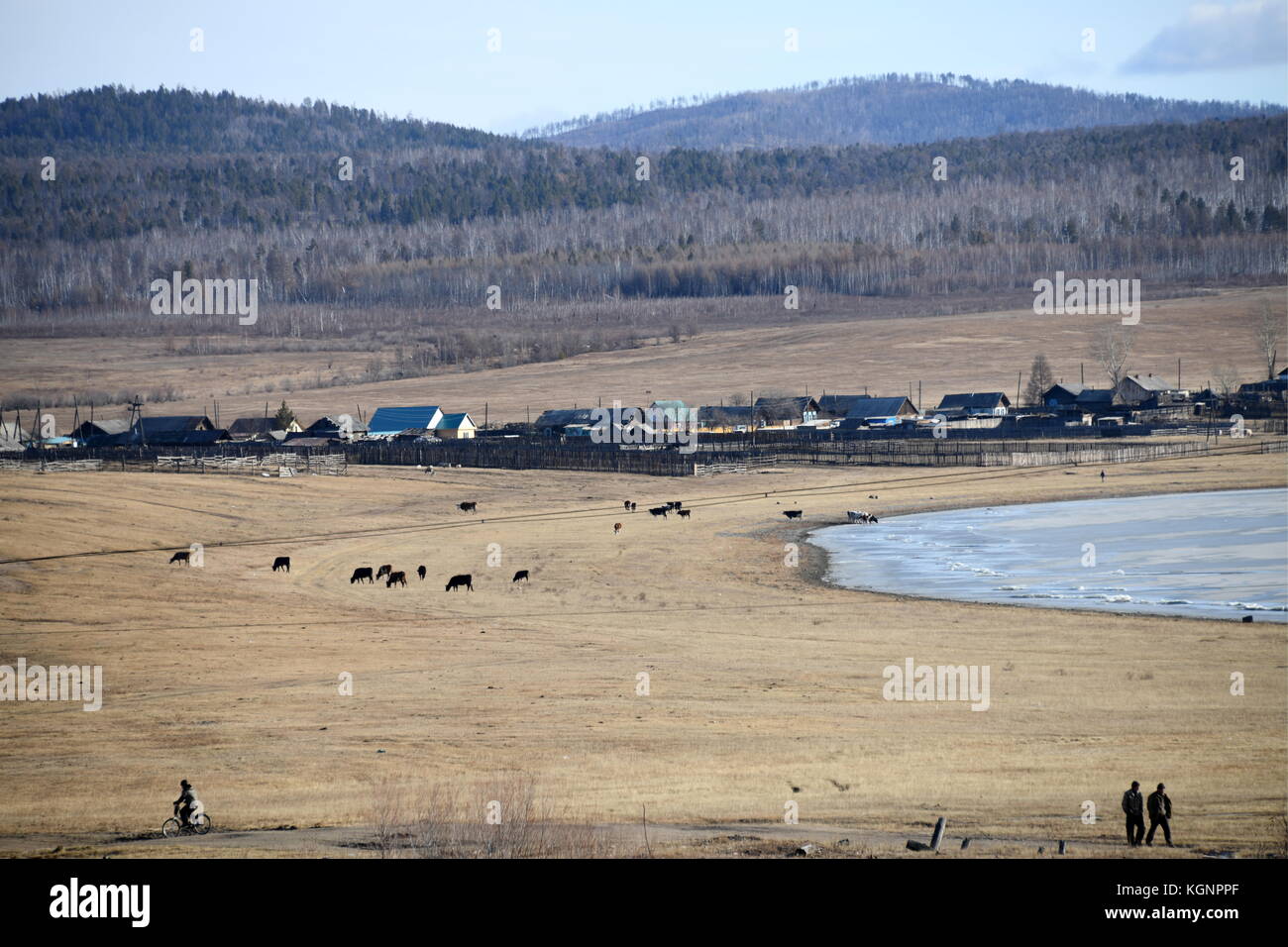 Transbaikal Territory High Resolution Stock Photography and Images - Alamy