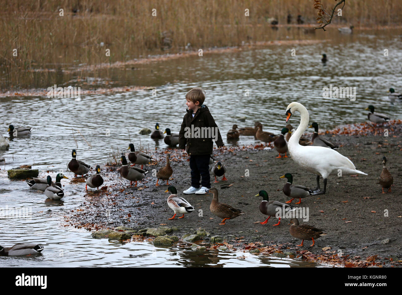 Co Laois, Ireland. 10th Nov, 2017. Oisin Carson (3) from Athy, Co ...