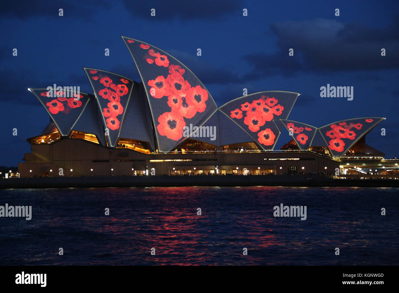 Sydney opera house poppies hi-res stock photography and images - Alamy