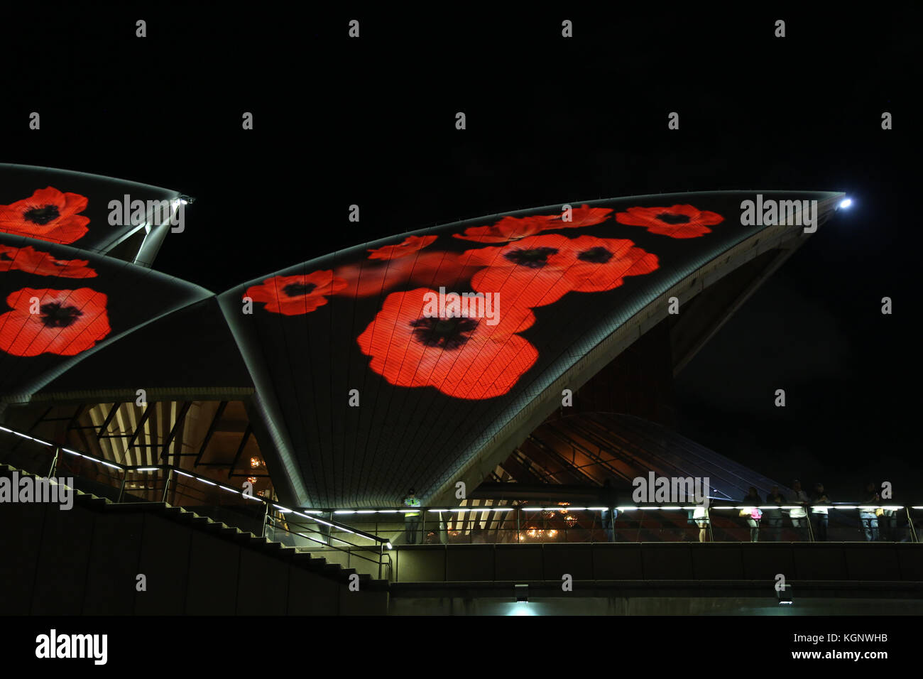 Sydney opera house poppies hi-res stock photography and images - Alamy