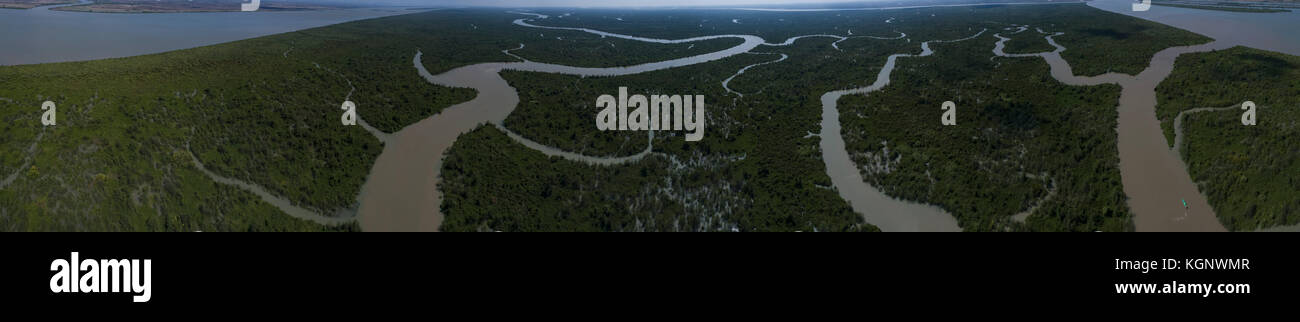 Panoramic view of river in forest, Irrawaddy-Delta, Myanmar Stock Photo ...