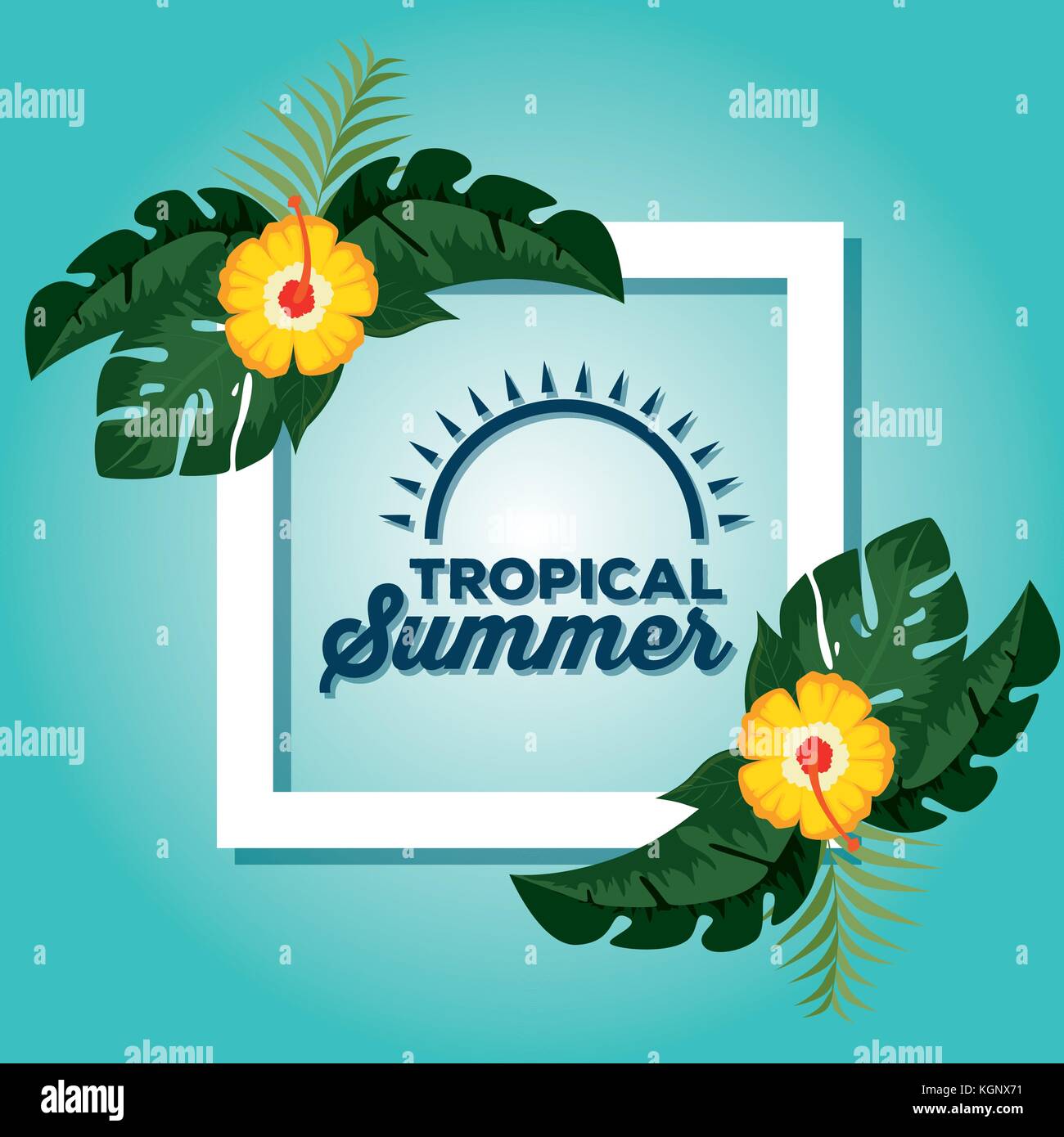 summer tropical background vector illustration graphic design Stock ...