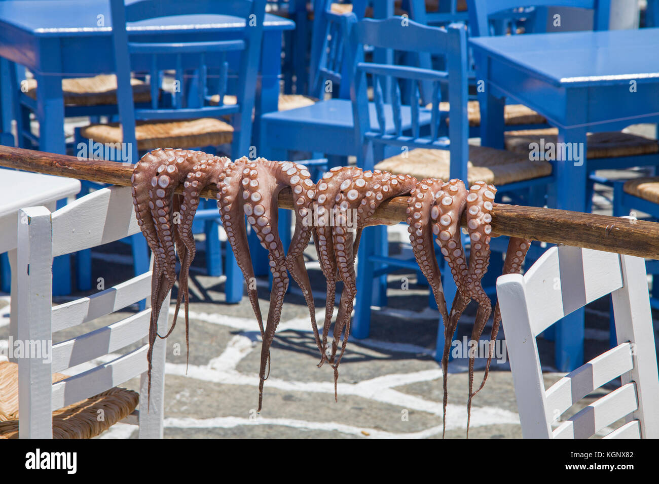 Octopus hanging for drying at the harbor of Naoussa, Paros, Cyclades ...