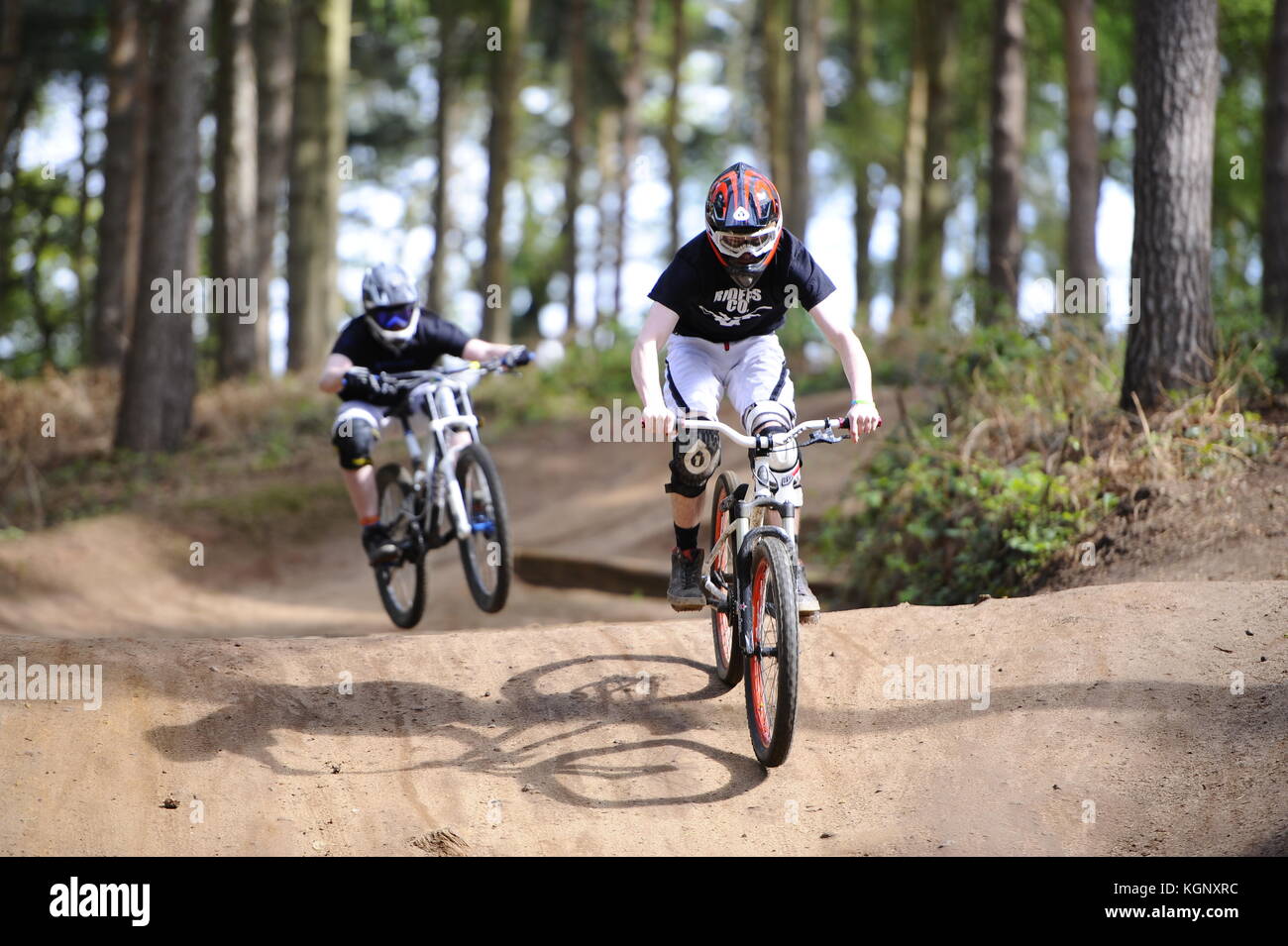 Mountain biking at Chicksands, Bedfordshire. Riders descending down a ...