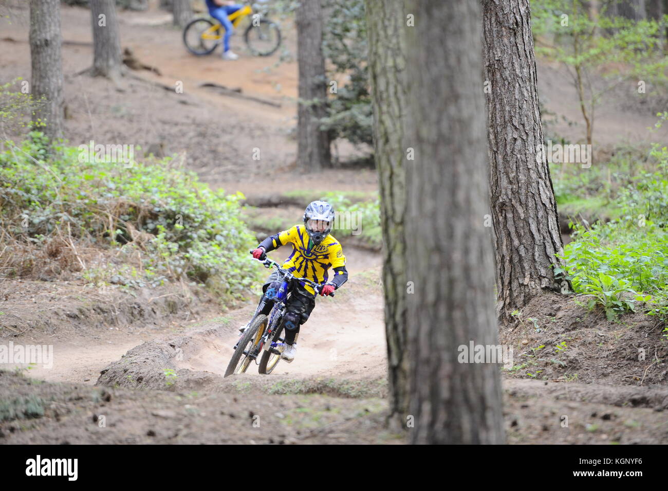 Mountain biking at Chicksands, Bedfordshire. Riders descending down a ...